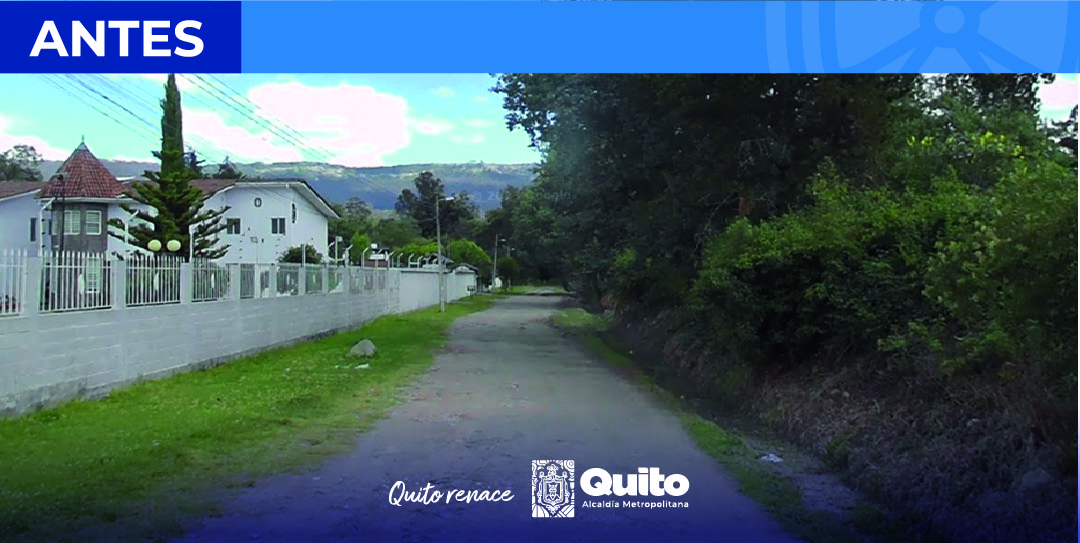 CONSTRUCCIÓN DE ADOQUINADO Y BORDILLOS DE LA CALLE PATRICIO BARBERIS ...